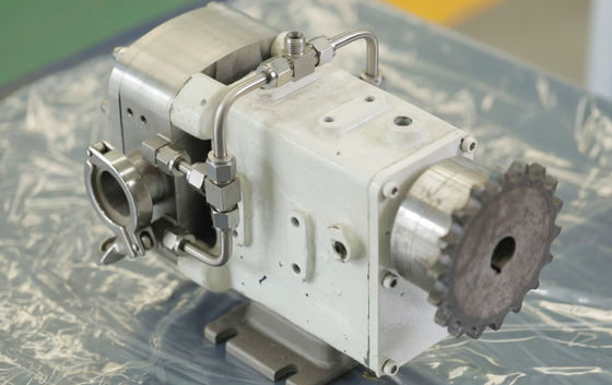 Two Rotary Lobe Positive Displacement Pump Operating Principle