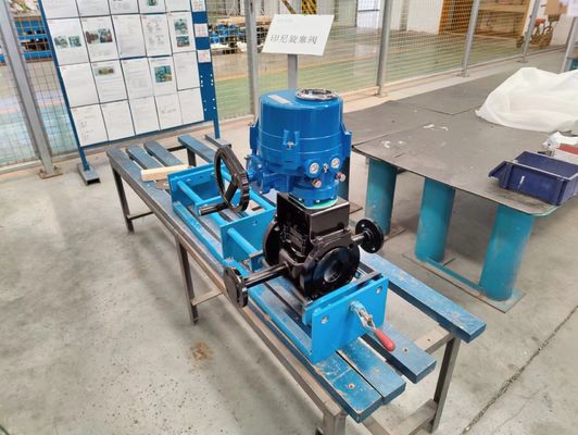 ANSI 150 ANSI 300 ANSI 600 Sleeve Plug Valve Piggable Valves Customized